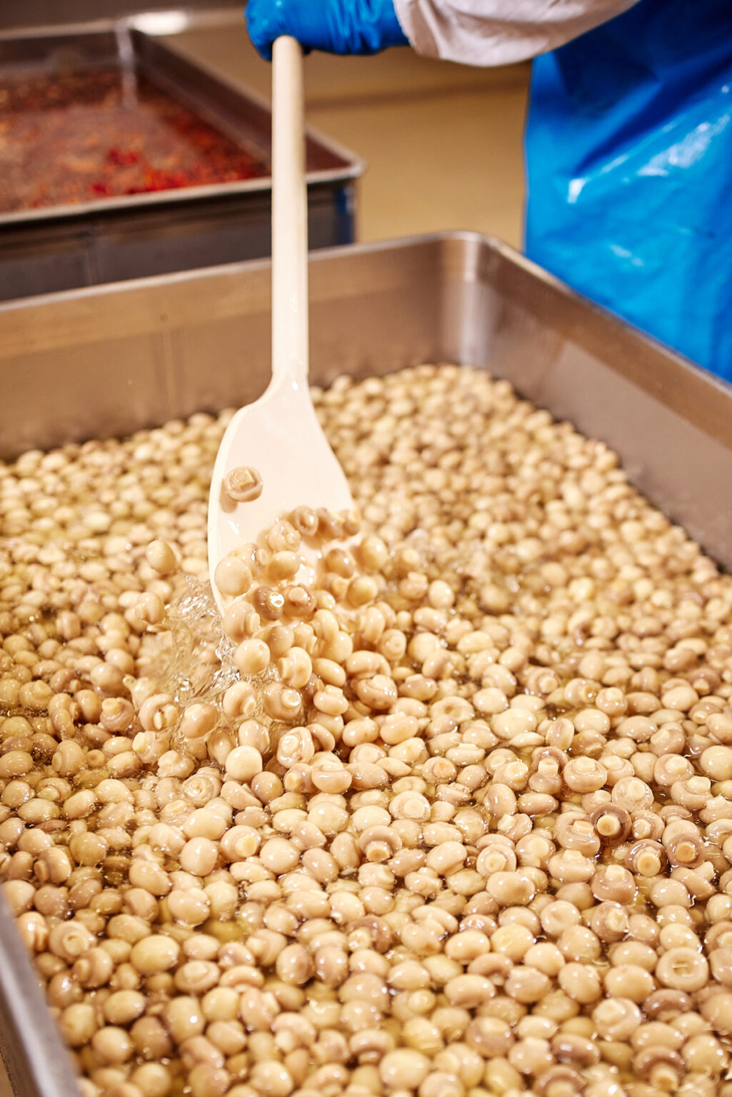 What is pasteurization and how does it work - Castellino